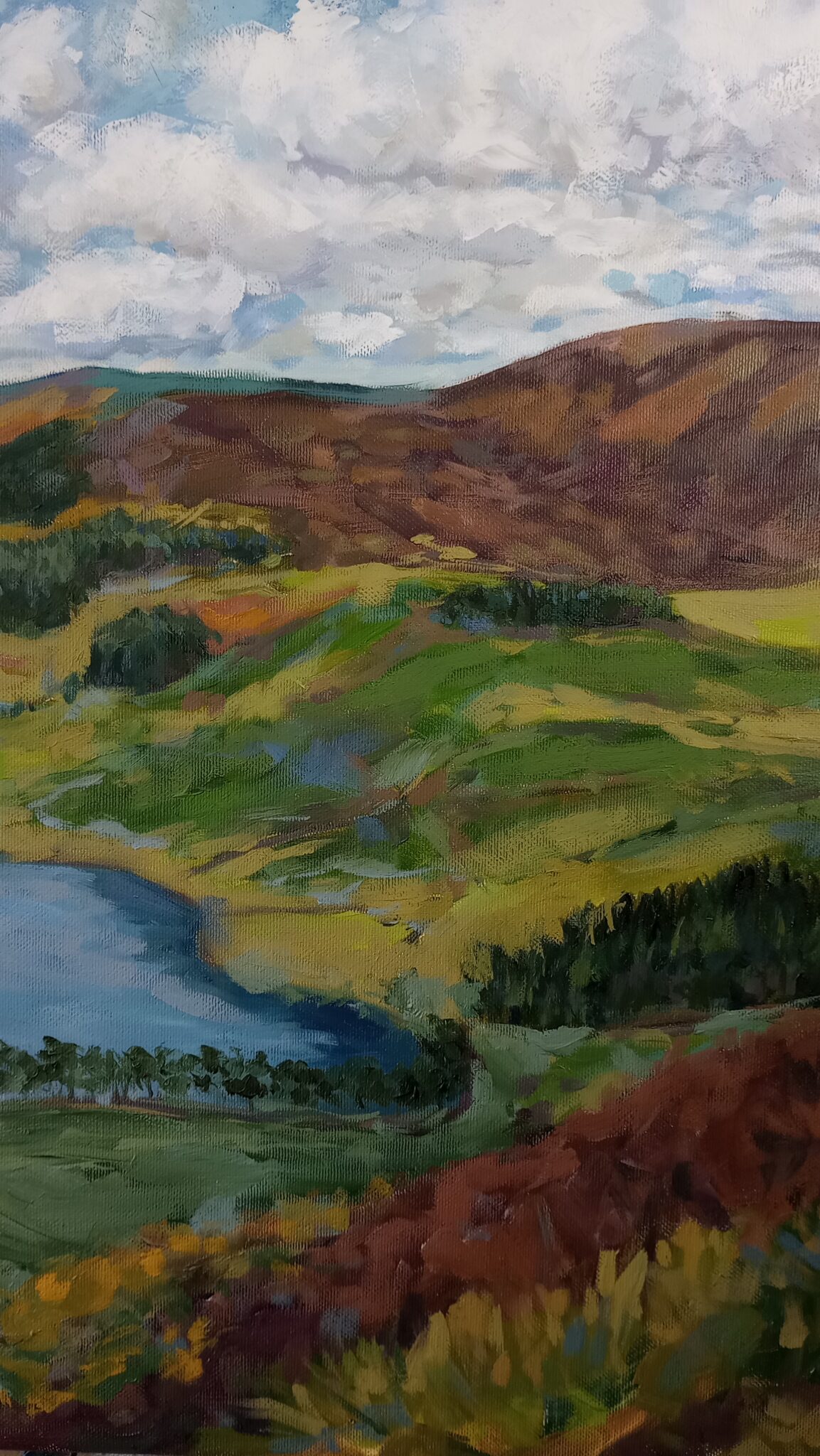 Contemporary oil paintings by Edinburgh Artist Tess Dunlop